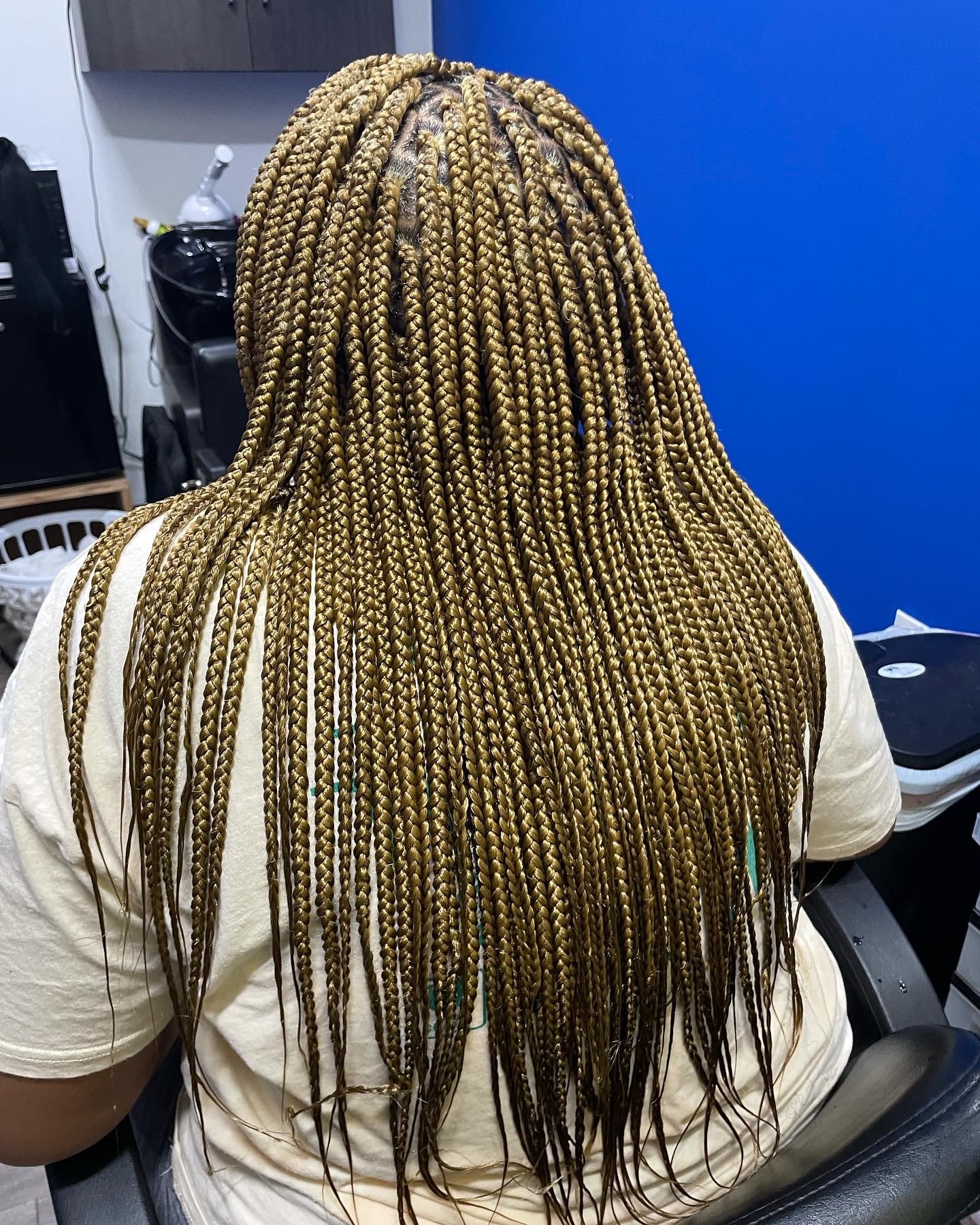 Small Box Braids | The Monarch Belle Hair Studio LLC